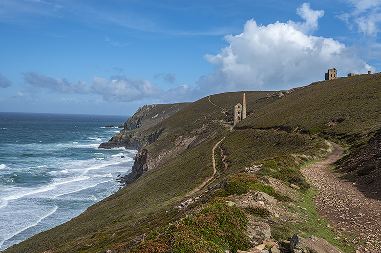 Latest News from The Ambler Family